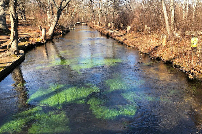 Connetquot River State Park Preserve