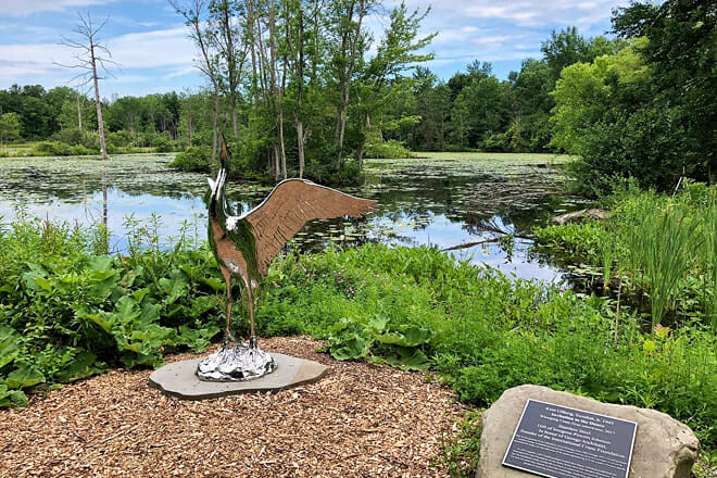 Cornell Lab of Ornithology