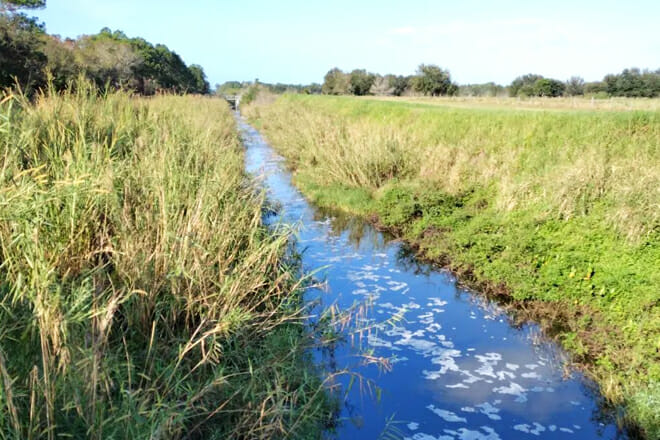 Cypress Creek Natural Area
