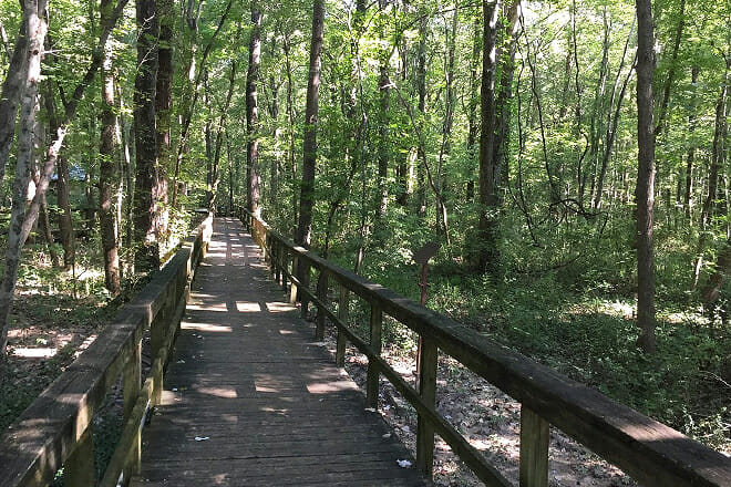 Cypress Grove Nature Park