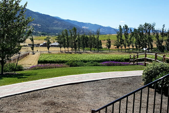 Dana Campbell Vineyards