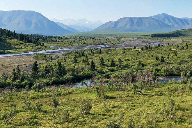 denali national park &ndash; alaska 1