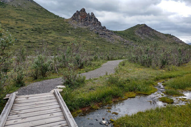 Denali National Park – Alaska