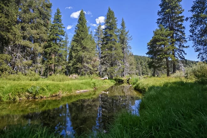 Donner Memorial State Park