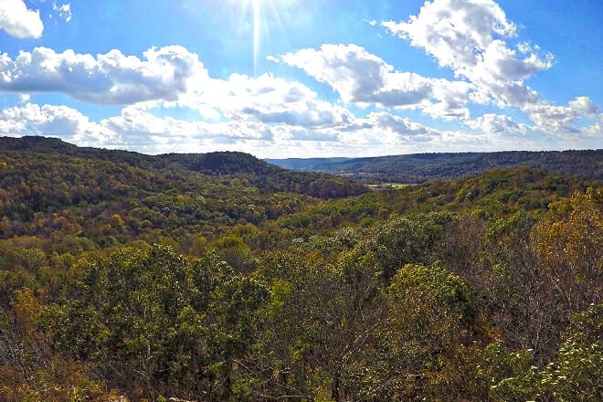 Edge of Appalachia Preserve