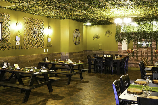 Elli&rsquo;s Backyard