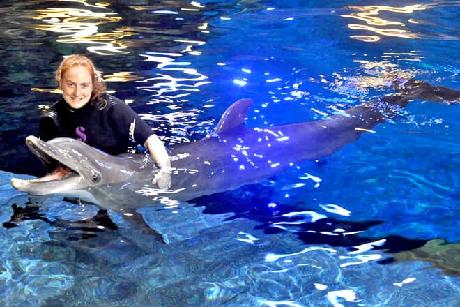 Epcot, Walt Disney World Resort