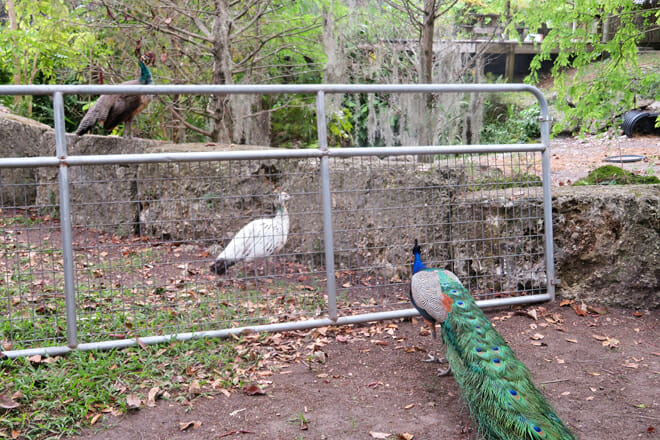 Everglades Outpost Wildlife Refuge