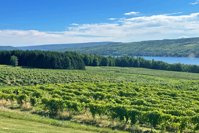 Finger Lakes Wineries