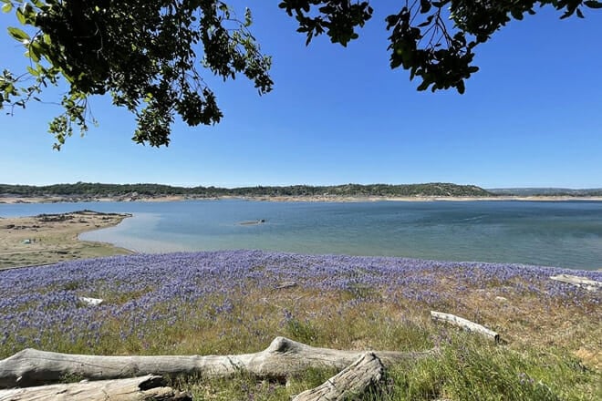 Folsom Lake