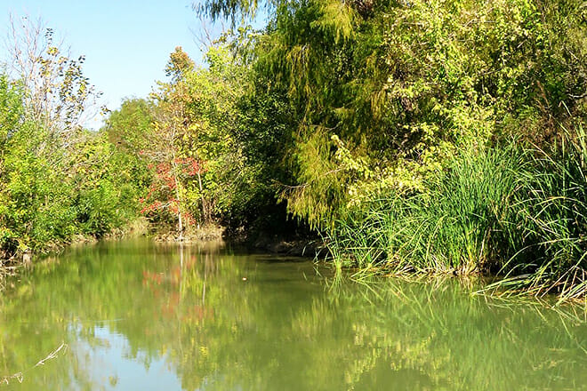 Friar&rsquo;s Creek Trail