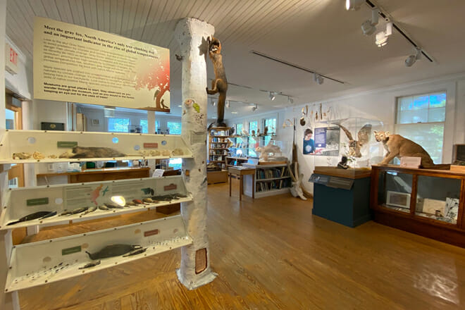 George B. Dorr Museum of Natural History