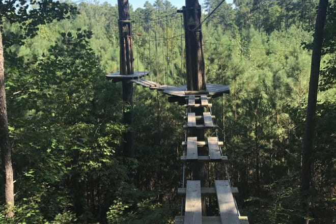 Go Ape Treetop Adventure