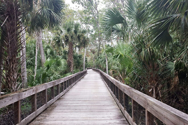 Graham Swamp Preserve