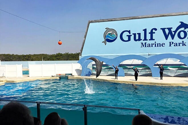 Gulf World Marine Park &mdash; Panama City Beach