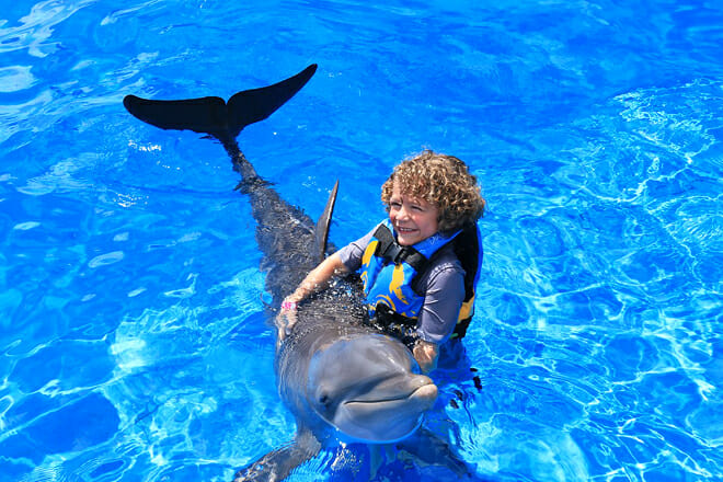 Gulf World Marine Park