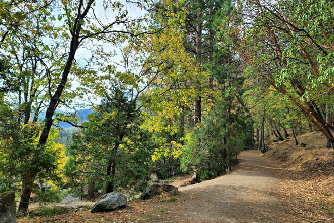 Hald/Strawberry Park