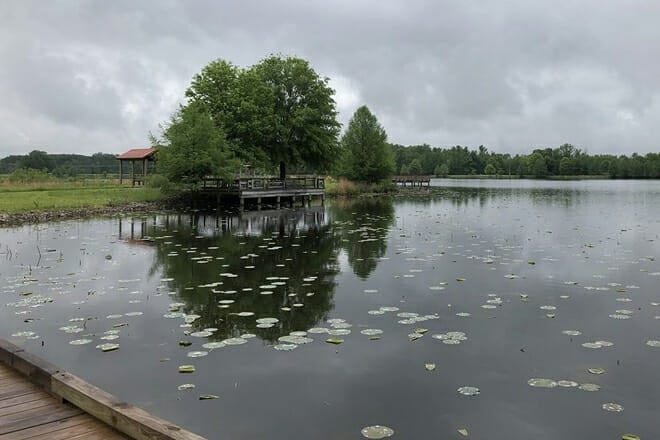 Hatchie National Wildlife Refuge