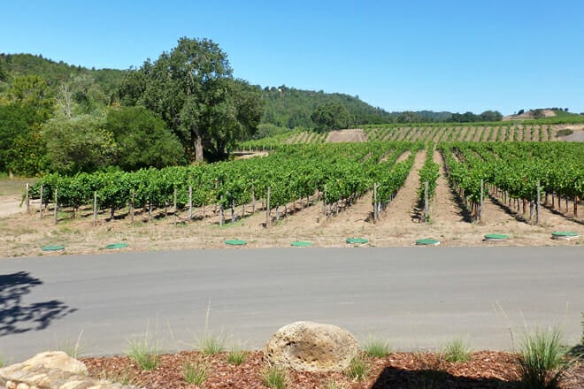 Hendry Ranch Wines