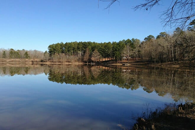 Holly Springs National Forest