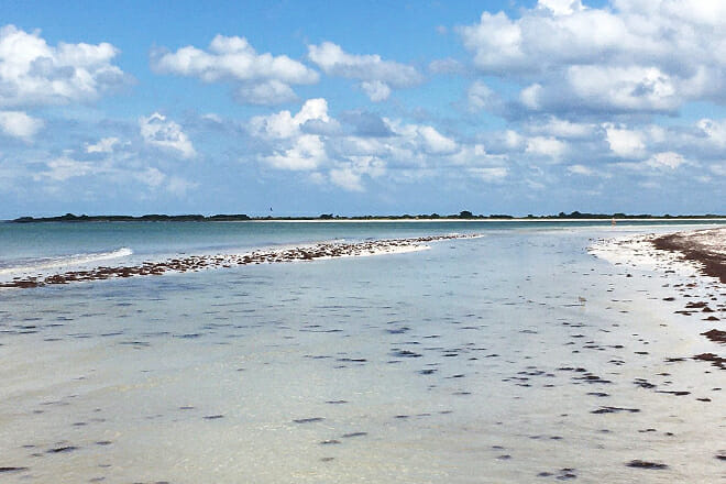 Honeymoon Island State Park