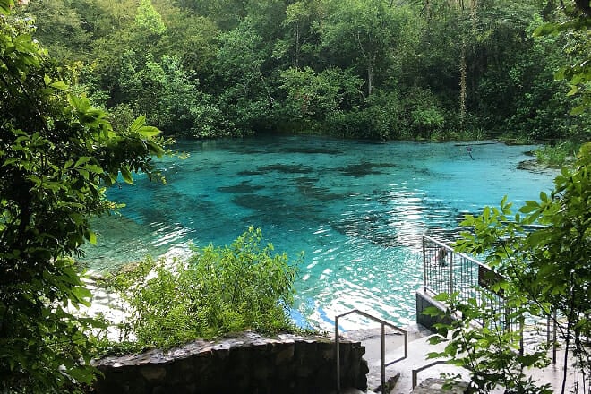 Ichetucknee Springs