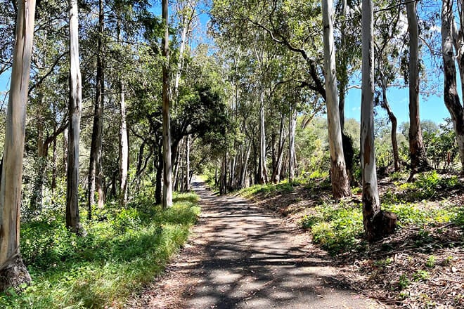 Jack London State Historic Park