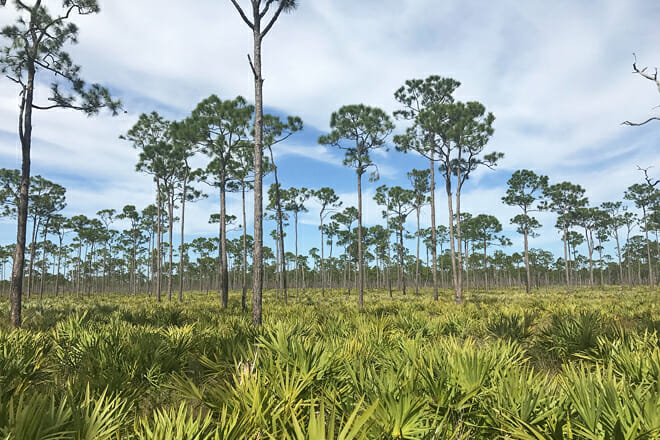 Jonathan Dickinson State Park