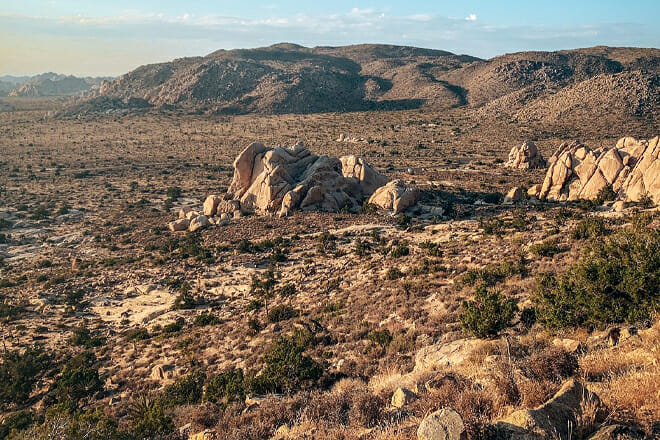 Joshua Tree National Park &mdash; California