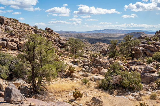 Joshua Tree National Park, California