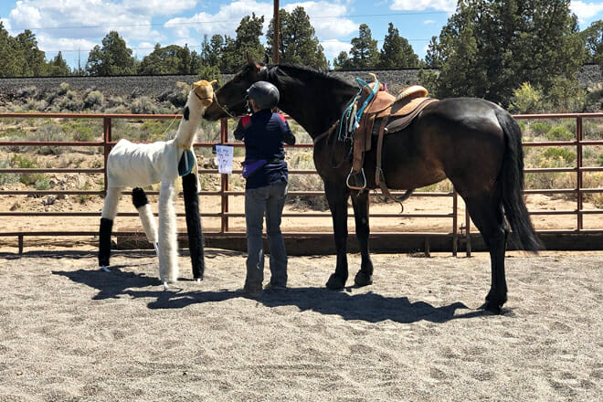 Juniper Trails Horse Ranch