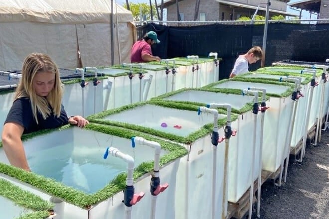 Kanaloa Octopus Farm