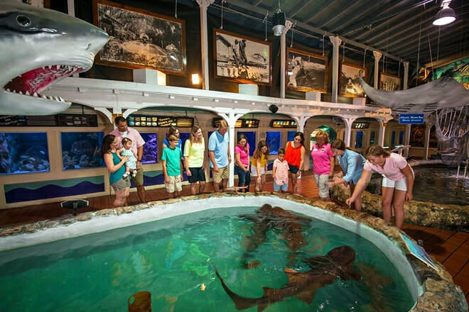 Key West Aquarium &mdash; Key West
