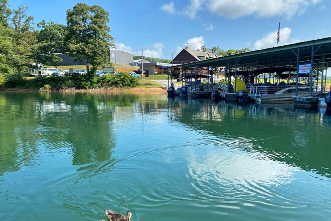 Lake Blue Ridge Marina