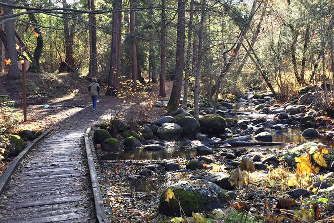 Lithia Park Hillside Trail