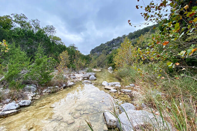 Lost Maples State Natural Area