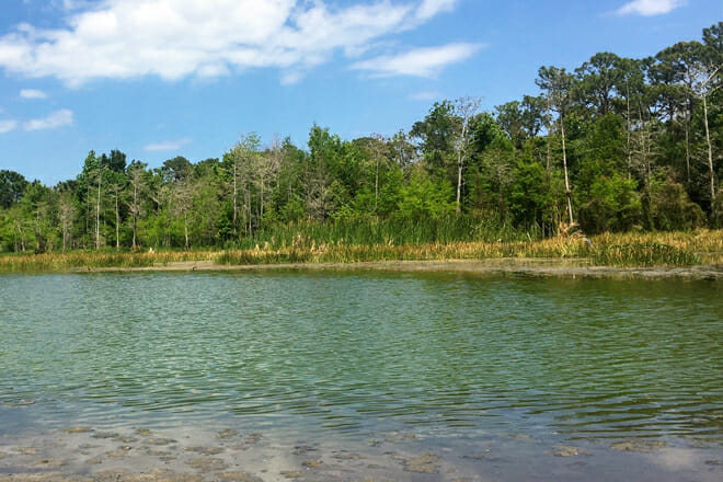 Loxahatchee River Battlefield Park