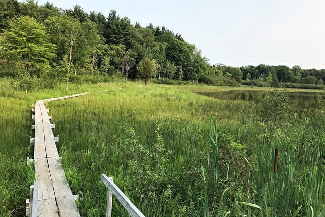 MacCready Nature Reserve