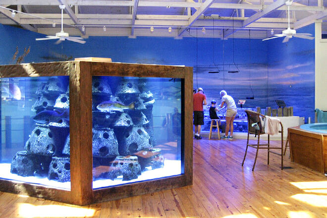 Marine Science Center &mdash; Ponce Inlet