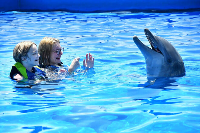 Marineland Dolphin Adventure
