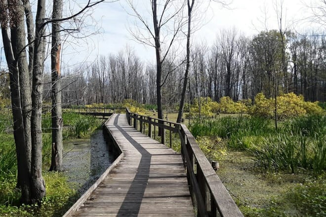 Maumee Bay State Park