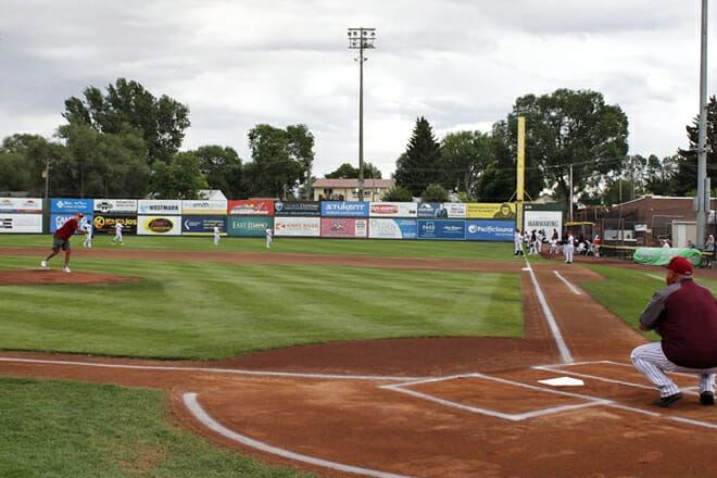 Melaleuca Field