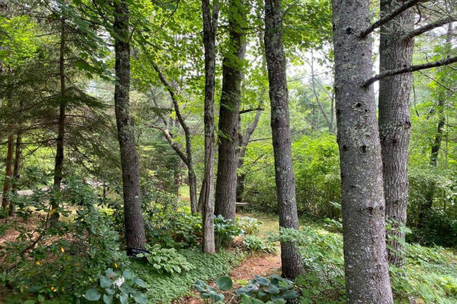 Merryspring Nature Center