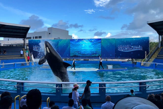 Miami Seaquarium &mdash; Miami