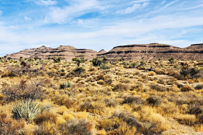 mojave national preserve