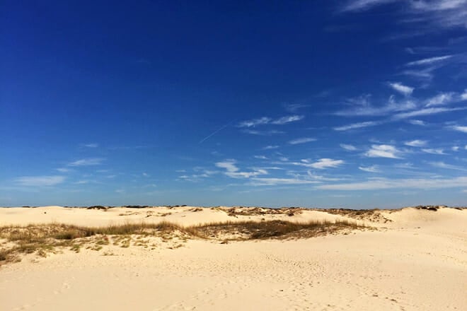 monahans sandhills state park