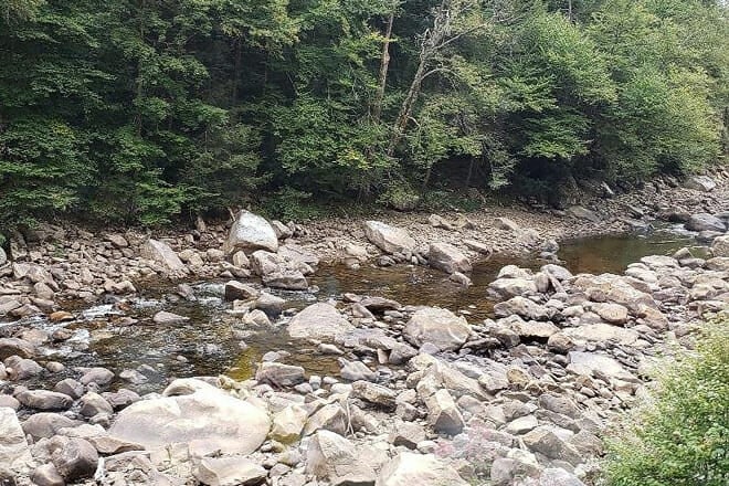 Monongahela National Forest