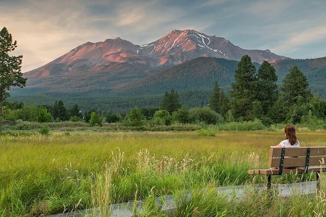 Mount Shasta