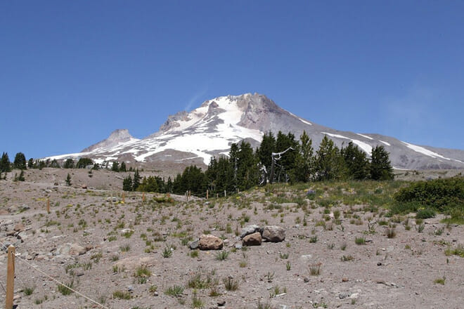 Mt. Hood