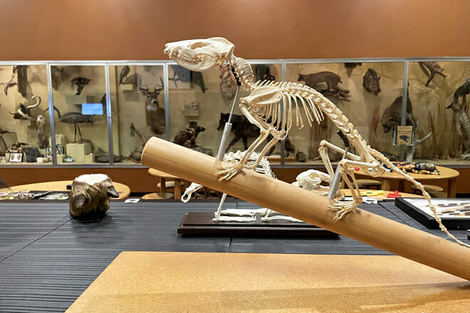 Museum of York County